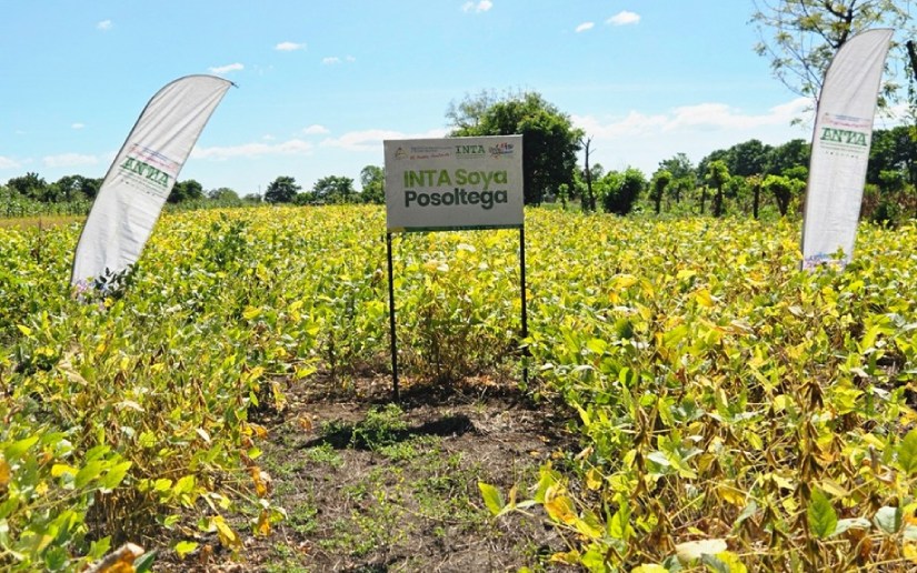 INTA fortalece la producción con tecnologías innovadoras en el Centro ...
